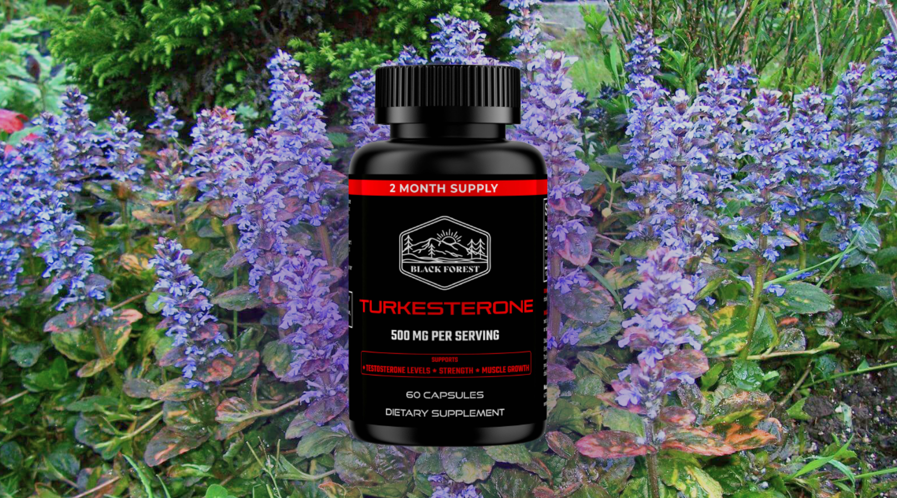 What is Turkesterone: benefits, dosage and side effects – Black Forest